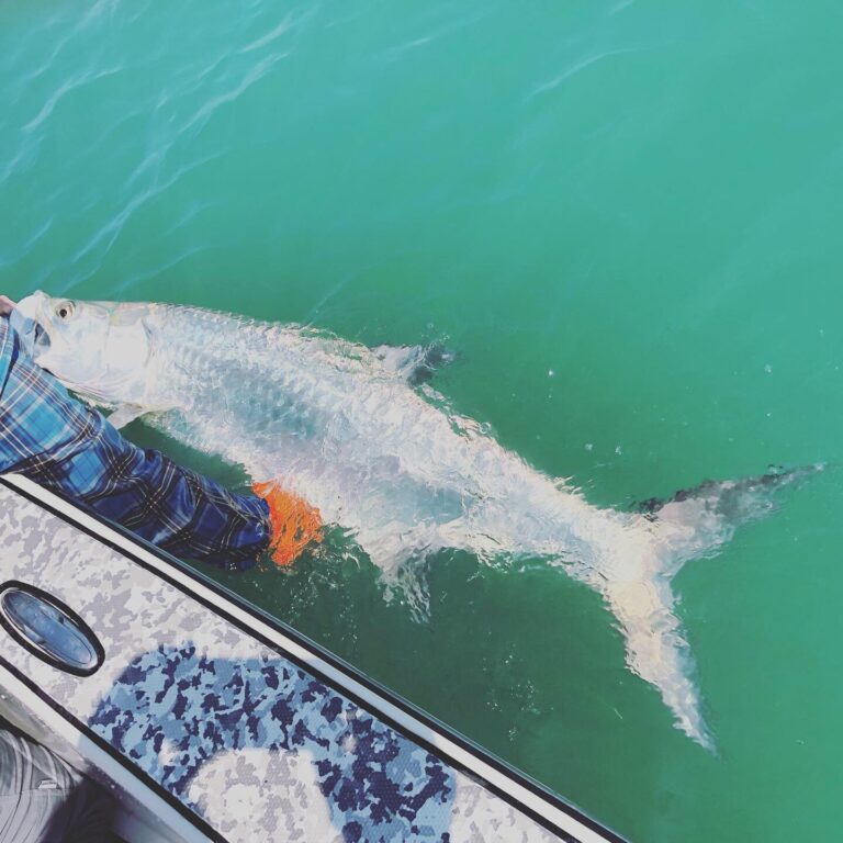The Tarpon Fishing Capital of the World: Boca Grande